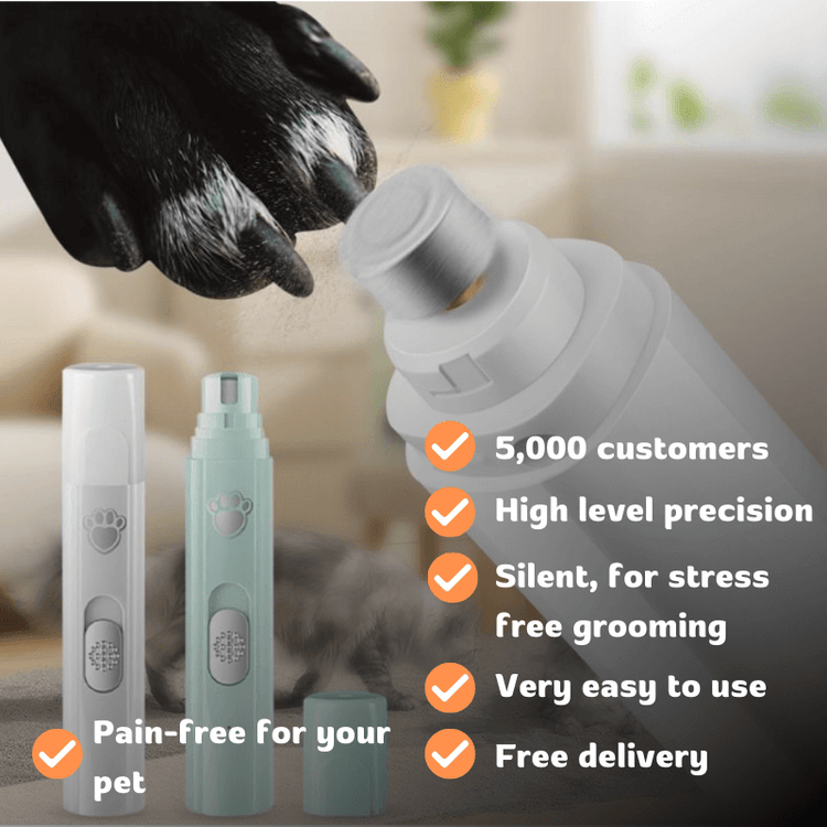 Collections – FurGroom